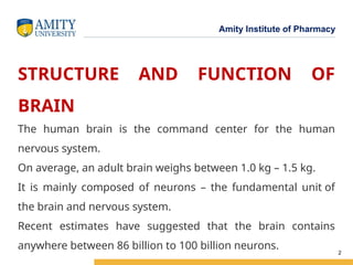 Human Brain ppt for Pharmacy Students.pptx
