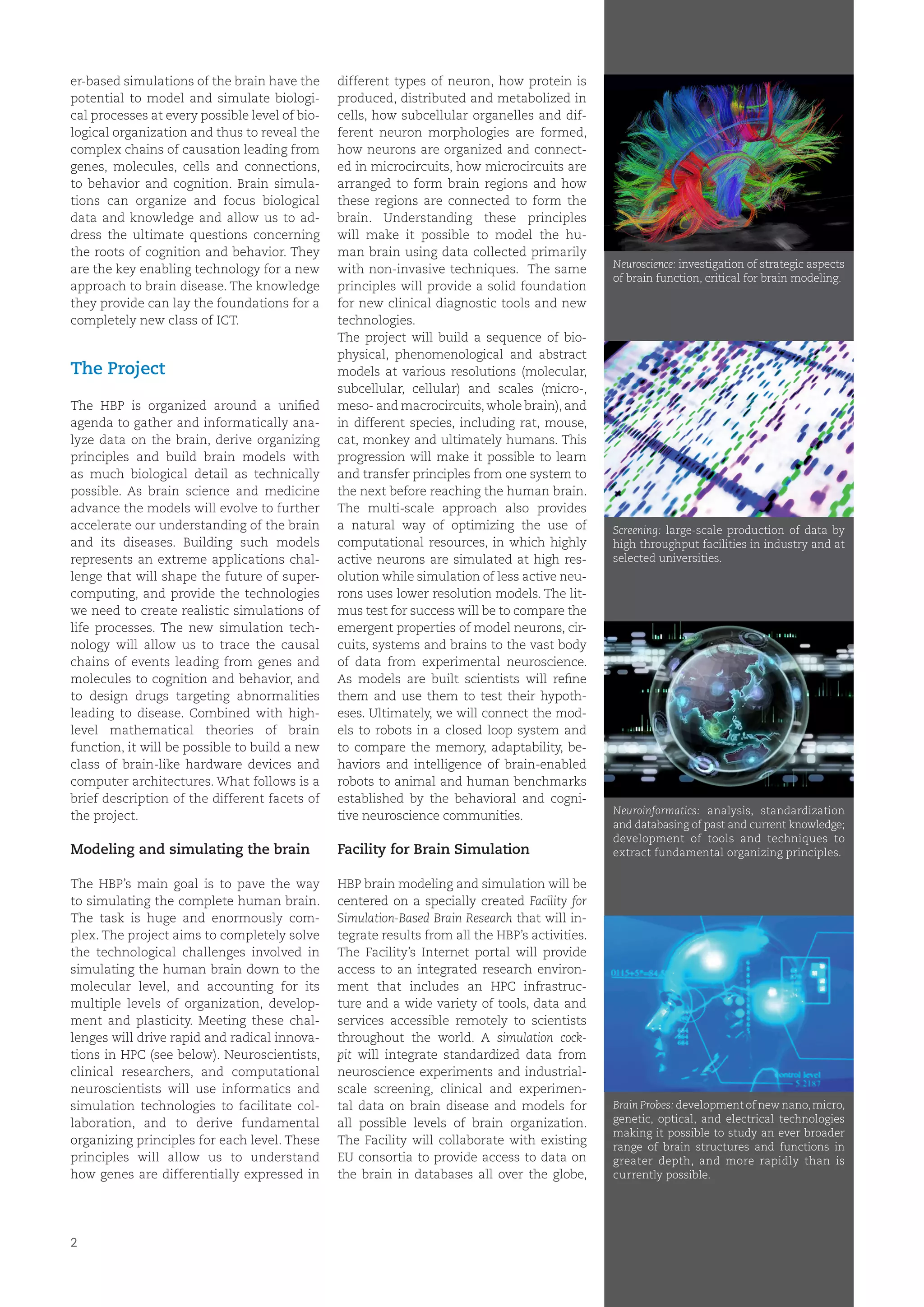 Human brain project 2010 | PDF