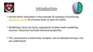 Human Brain Simulation for Robotic Applications | PPT