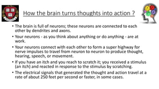 Human Brain Simulation for Robotic Applications | PPT