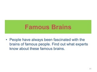 Human brain structure | PPSX
