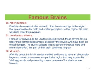 Human brain structure | PPSX