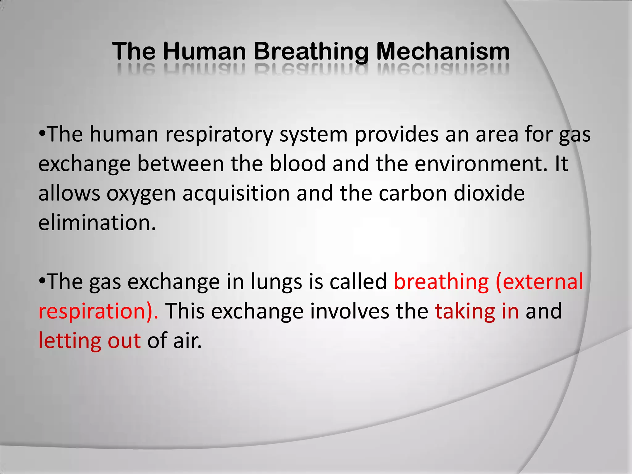 Human breathing | PPTX