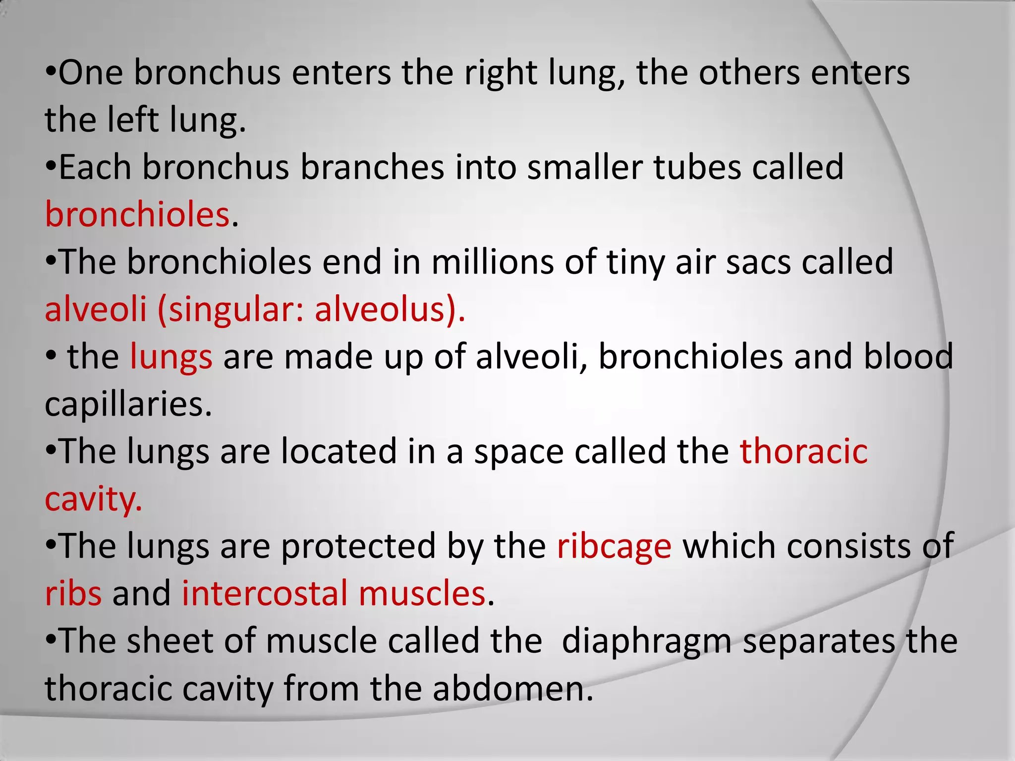 Human breathing | PPTX