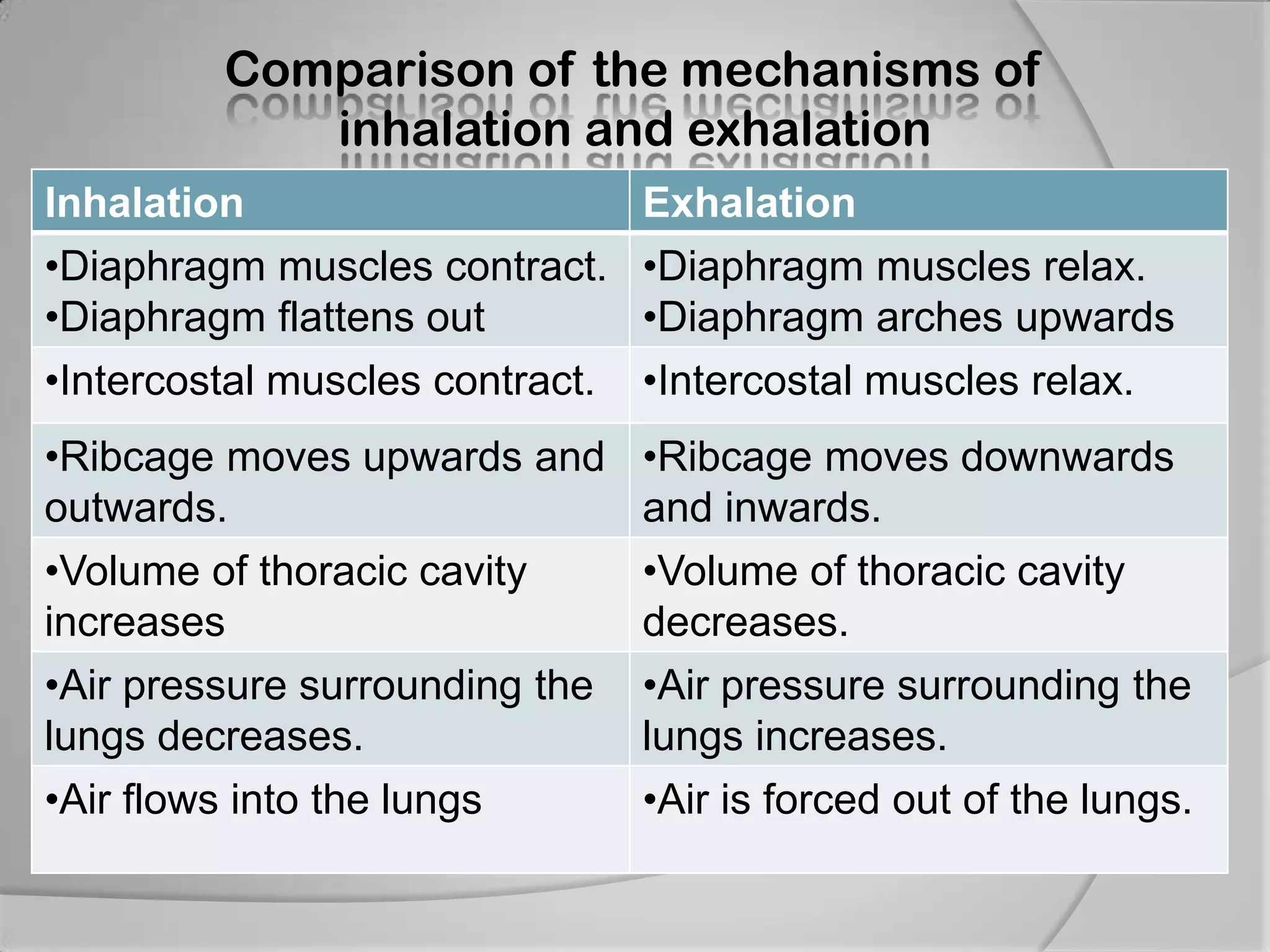 Human breathing 2.1 | PPTX
