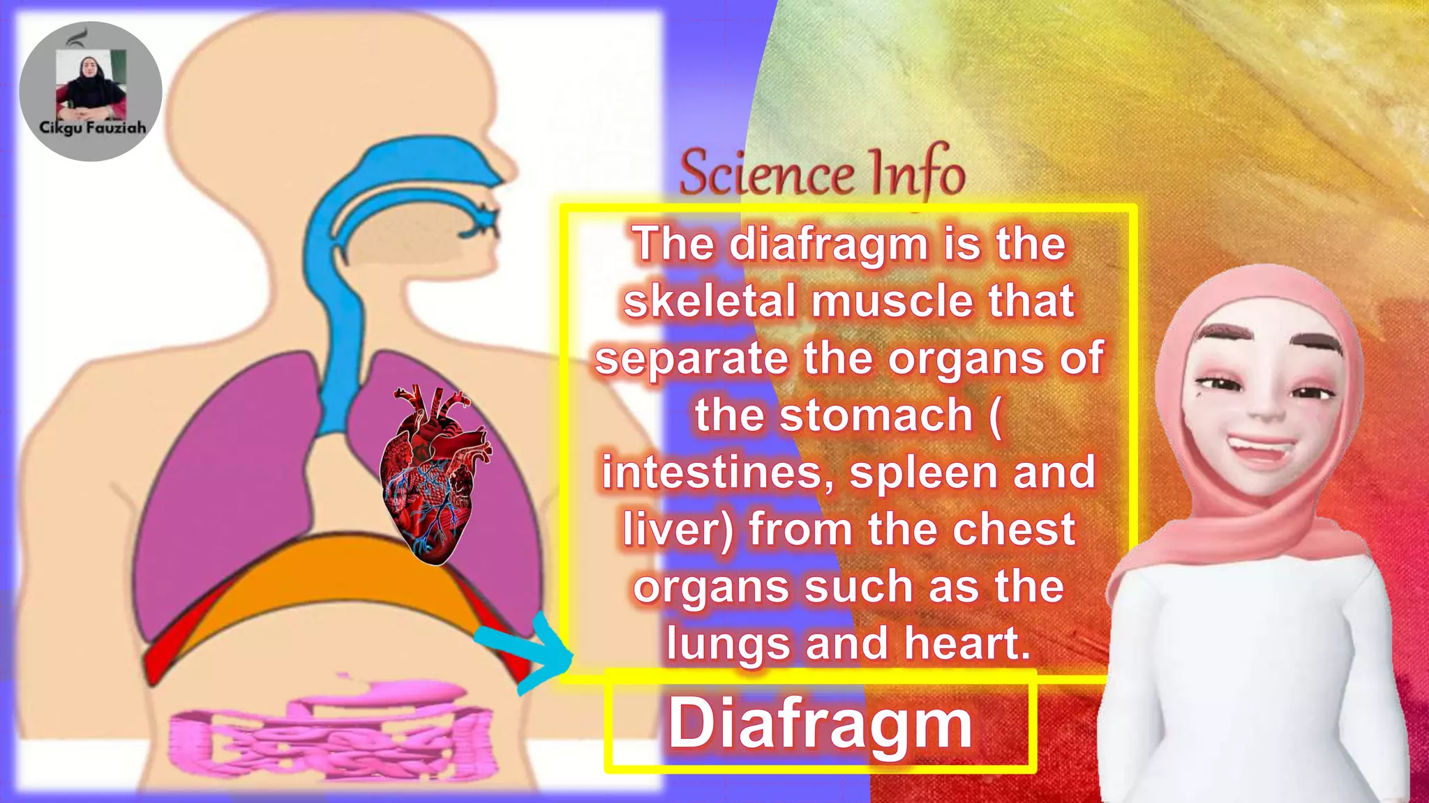 human breathing process yr4.pptx