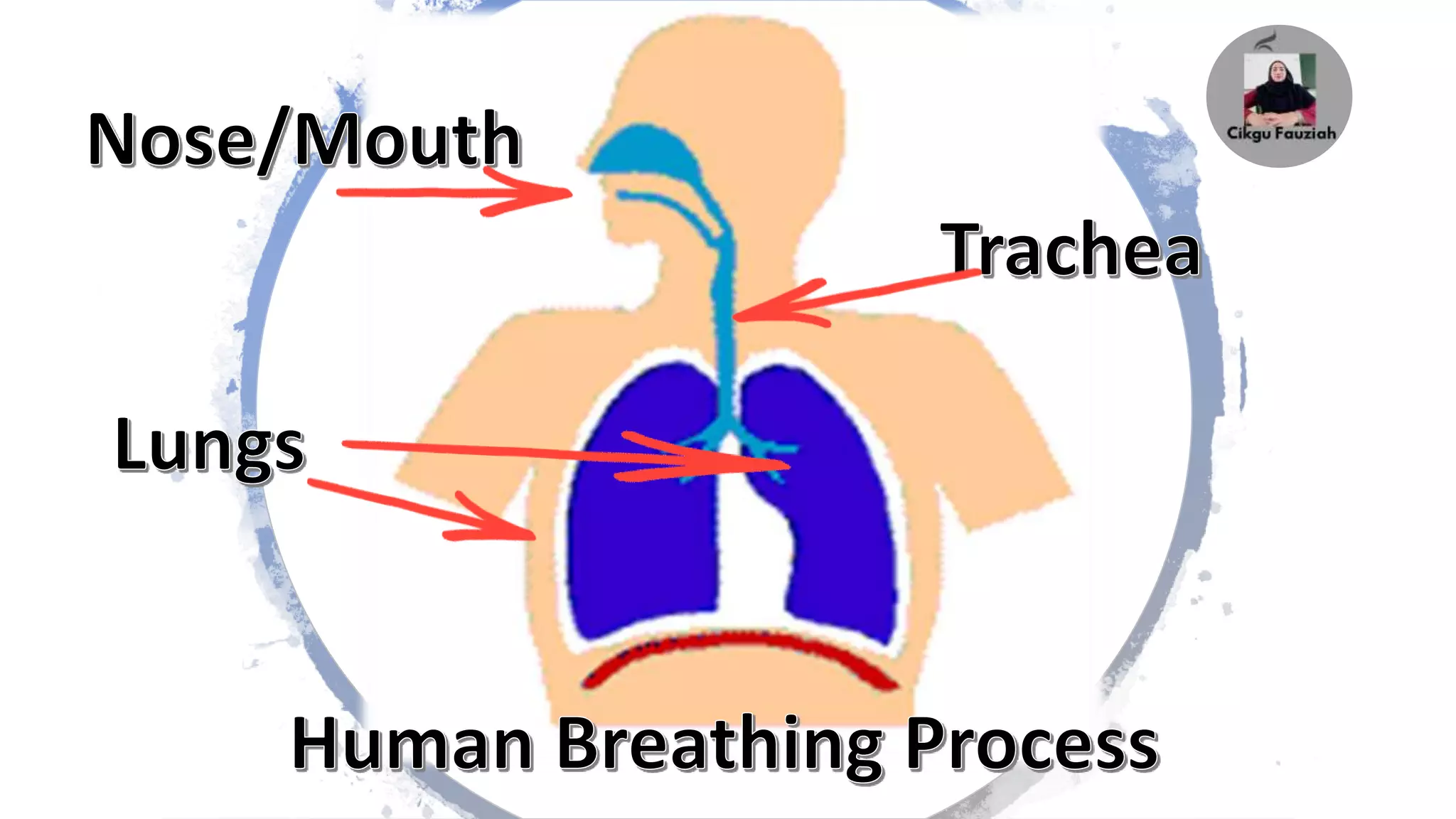human breathing process yr4.pptx | Lung and Respiratory Health ...