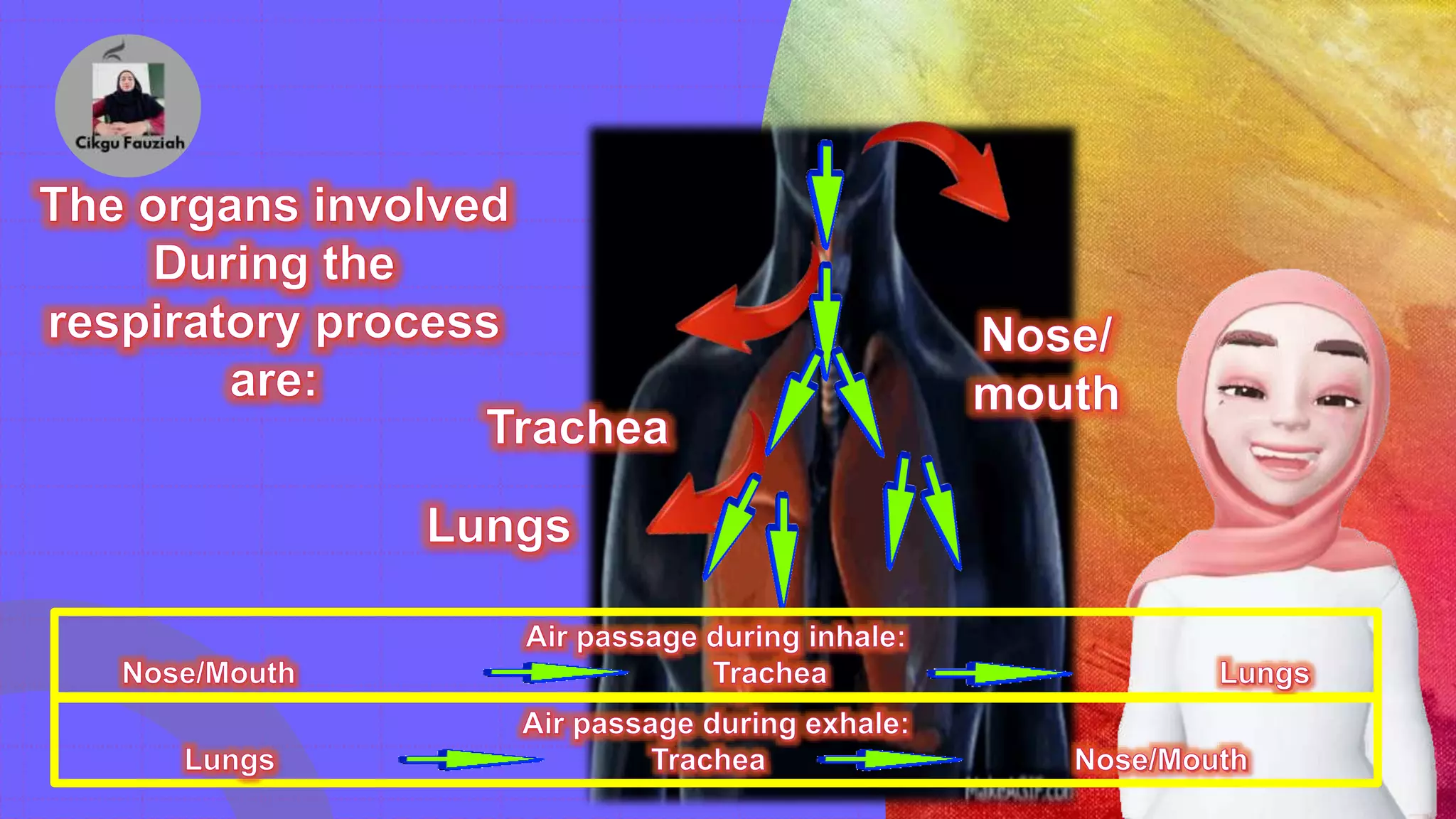 human breathing process yr4.pptx | Lung and Respiratory Health ...