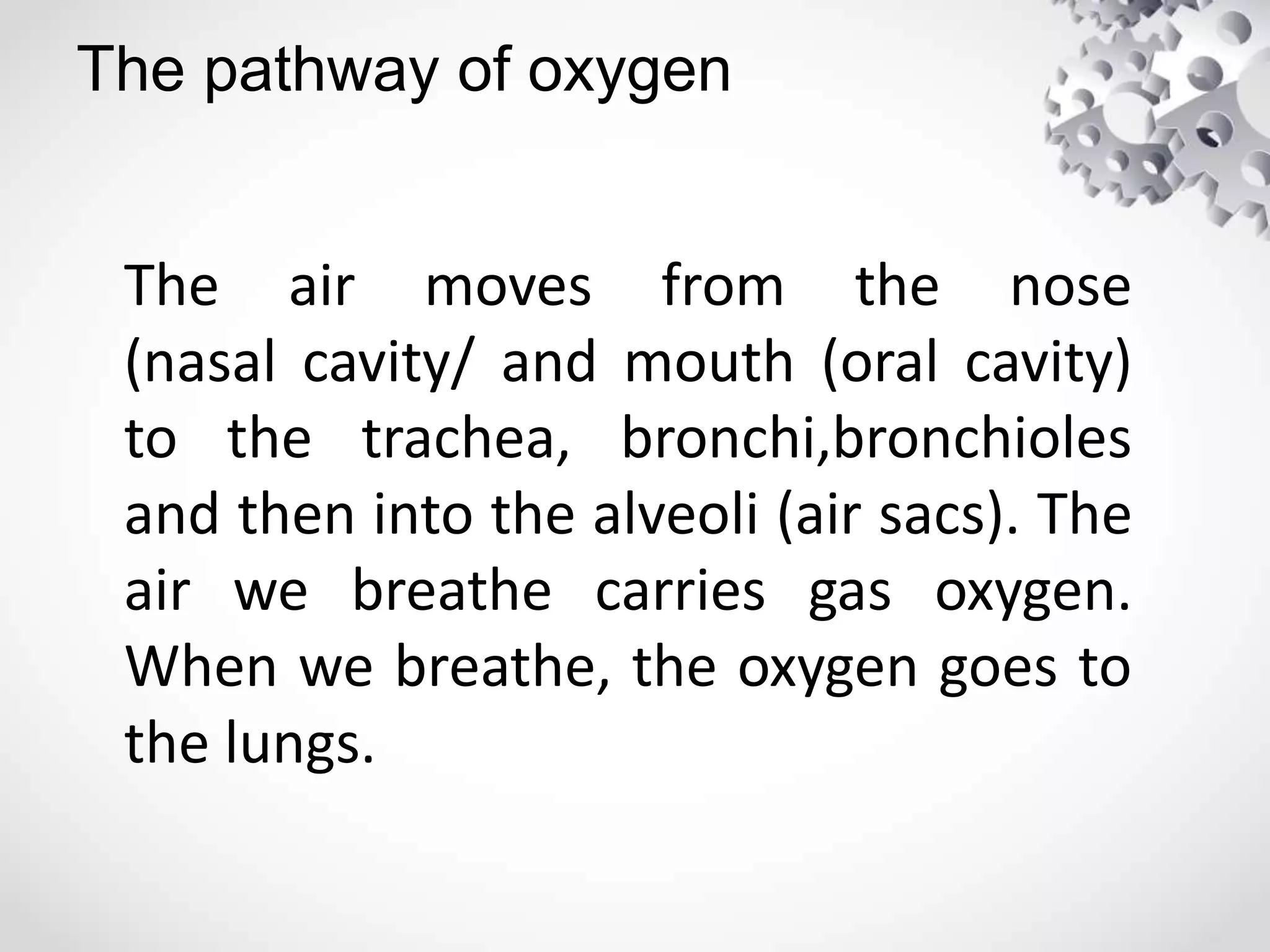 Human breathing system | PPTX