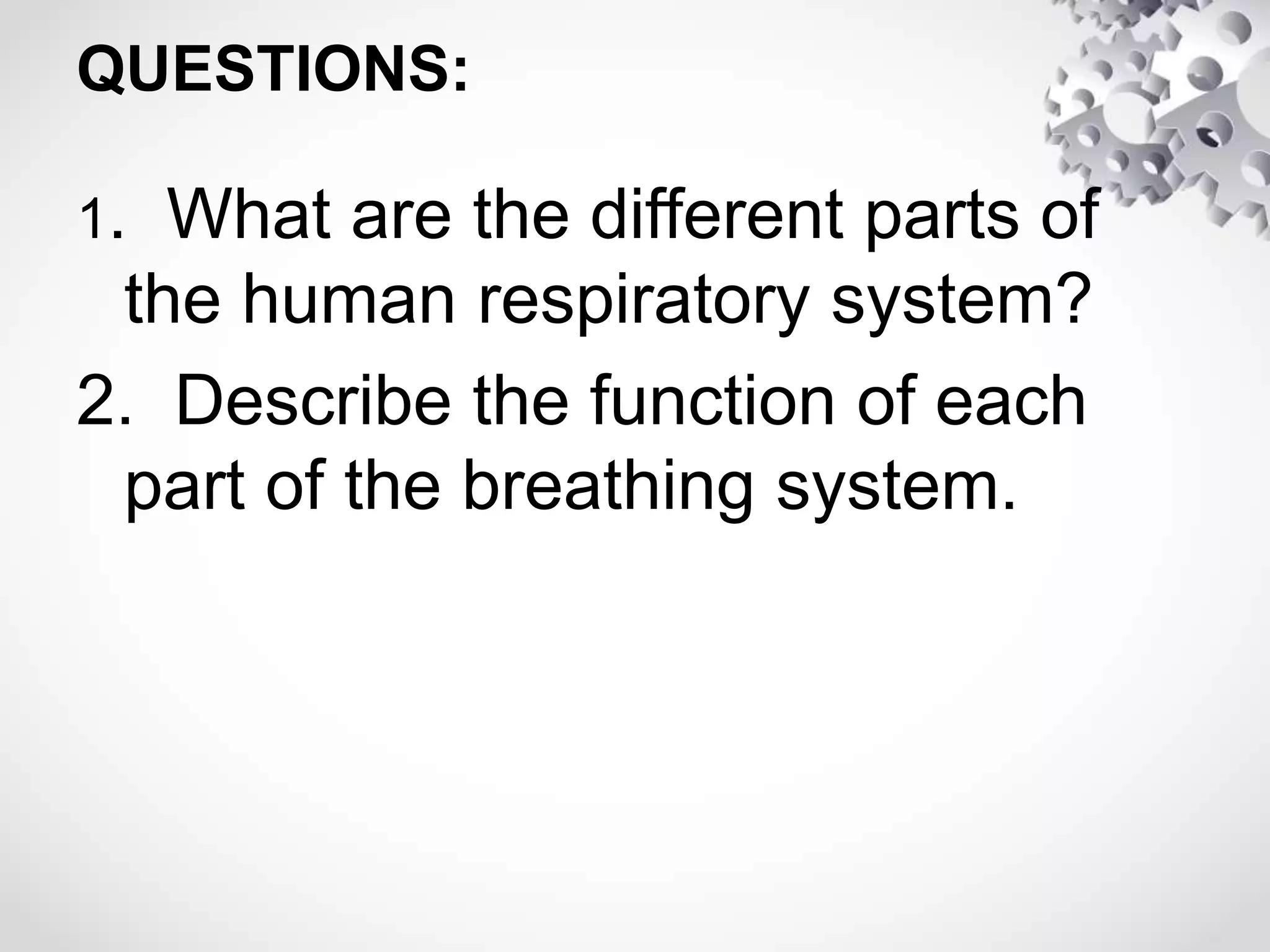 Human breathing system | PPTX