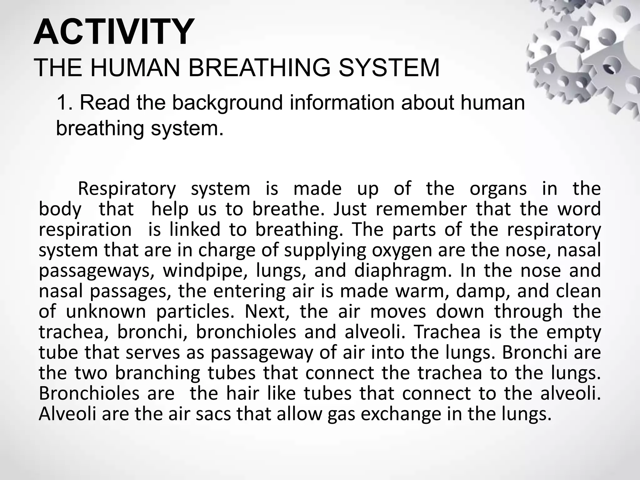 Human breathing system | PPTX