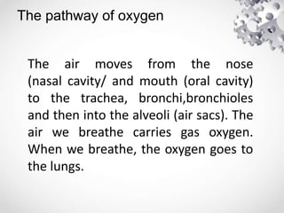 Human breathing system | PPTX