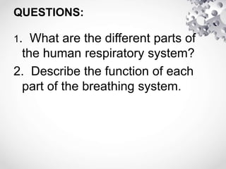 Human breathing system | PPTX