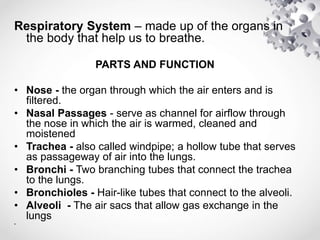 Human breathing system | PPTX