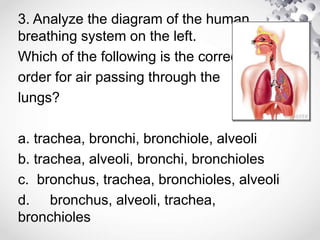 Human breathing system | PPTX