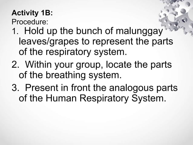 Human breathing system | PPTX