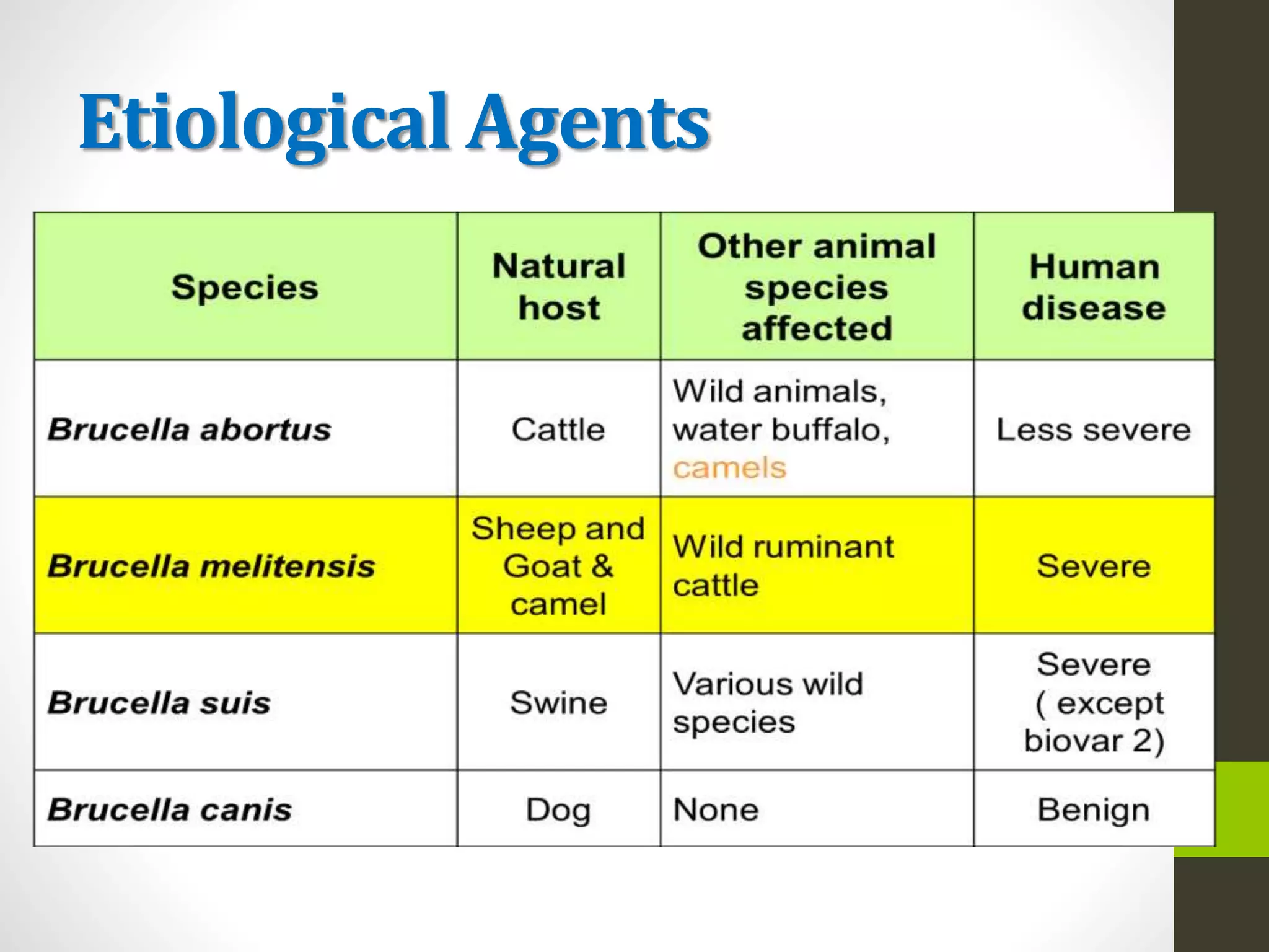 Human Brucellosis.pptx