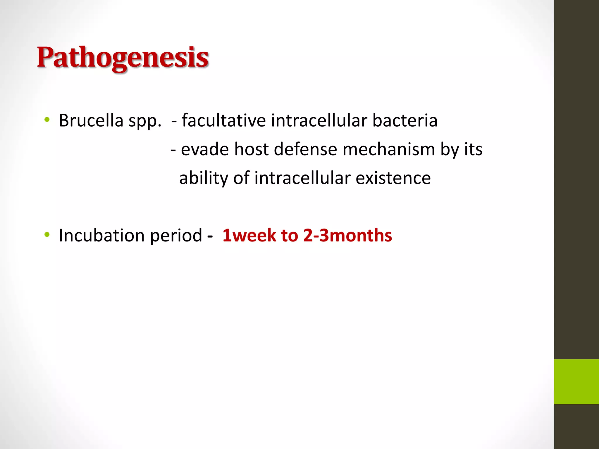Human Brucellosis.pptx