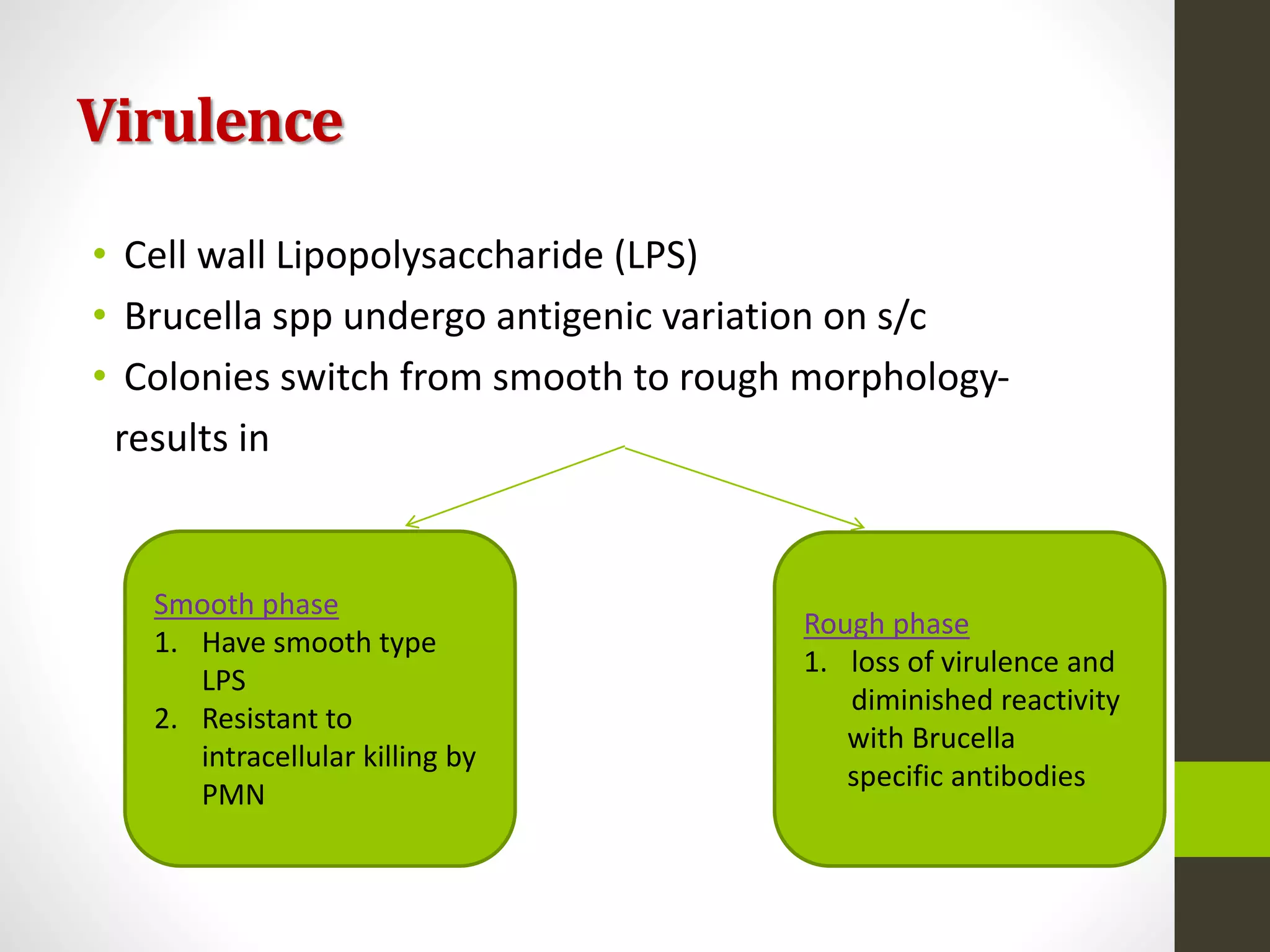 Human Brucellosis.pptx