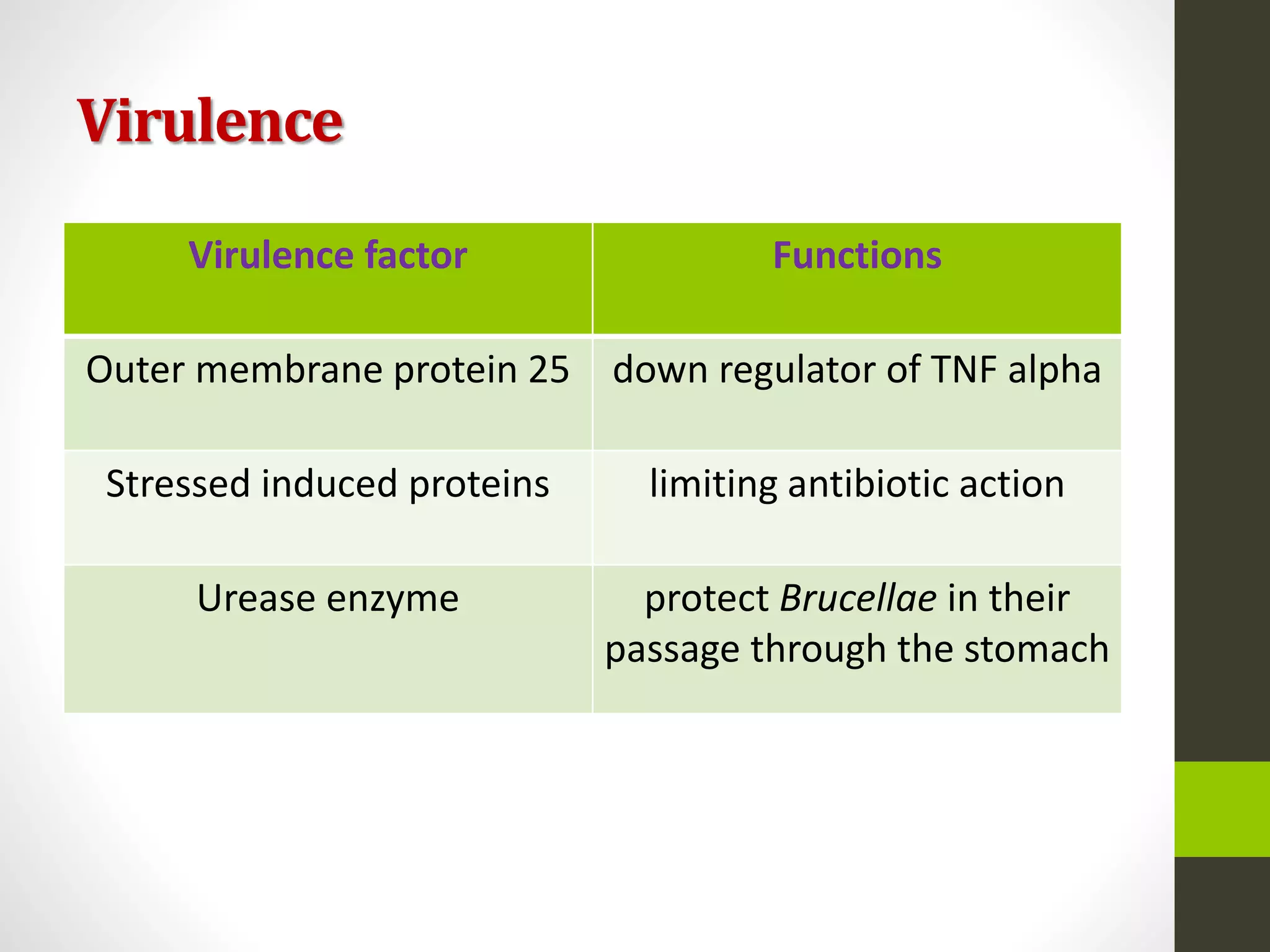 Human Brucellosis.pptx