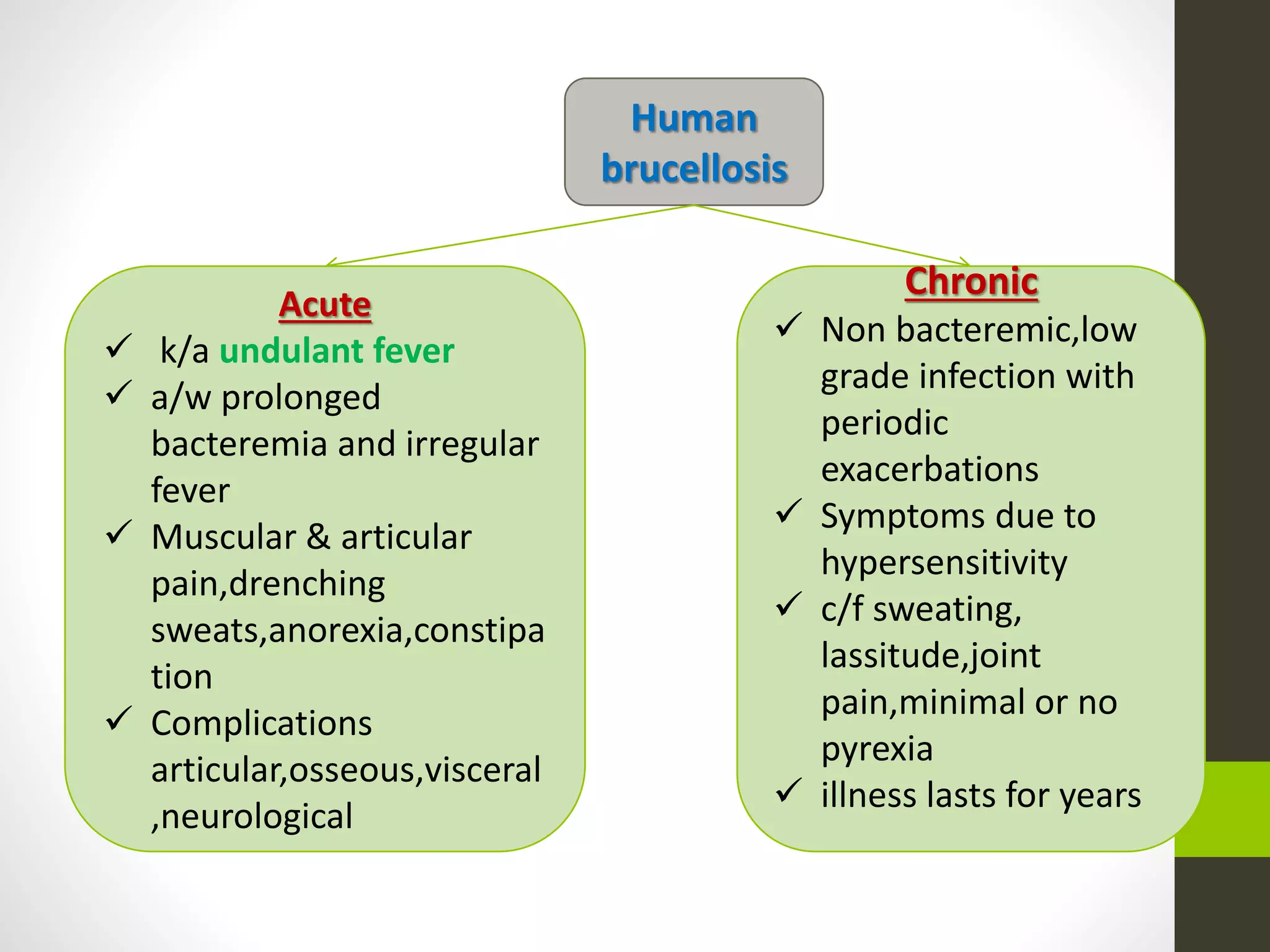 Human Brucellosis.pptx