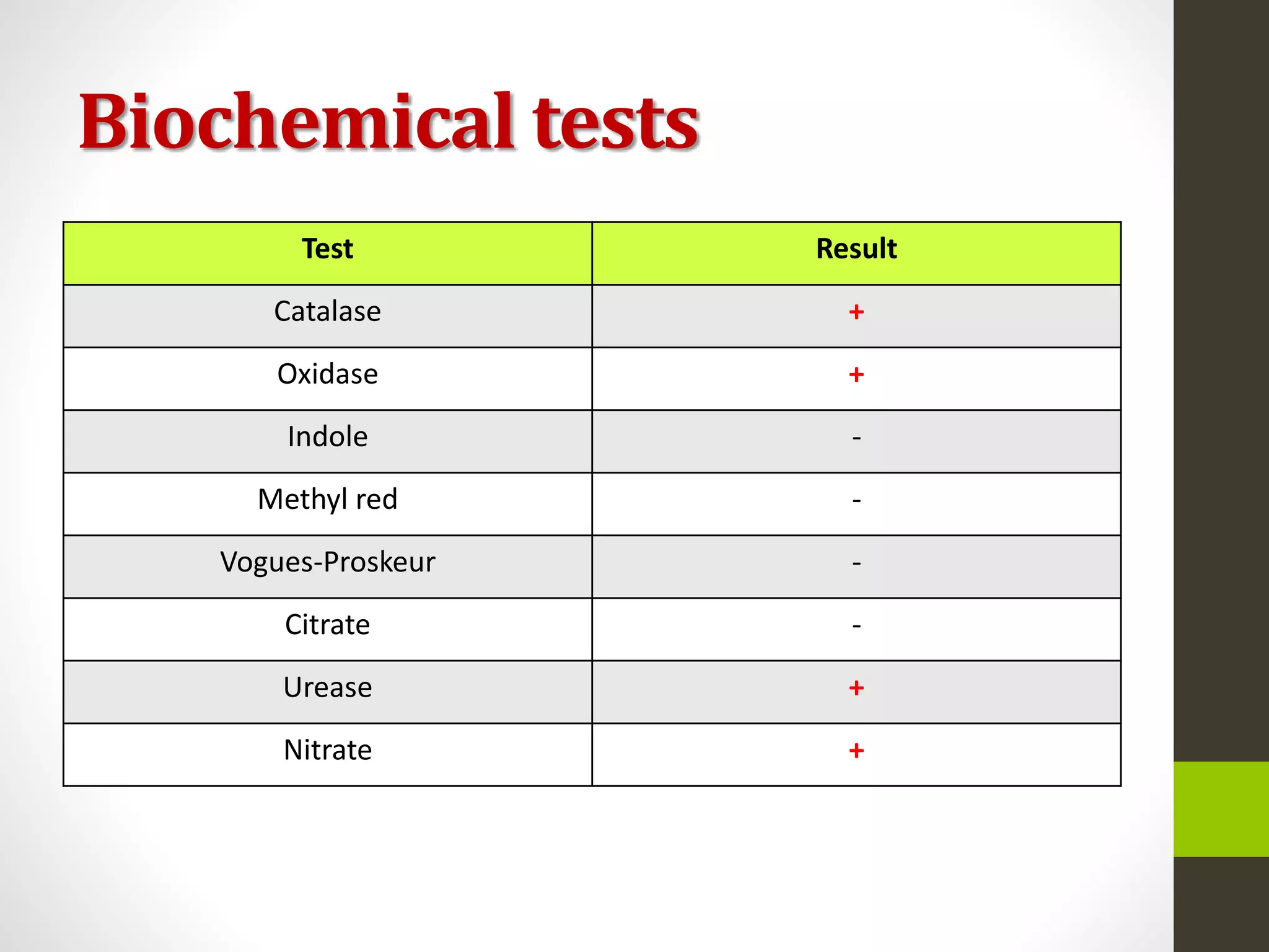 Human Brucellosis.pptx