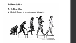HUMAN CAPACITY FOR CUlTURE IN UNDERSTANDINGFB CULTURE SOCIETY AND ...