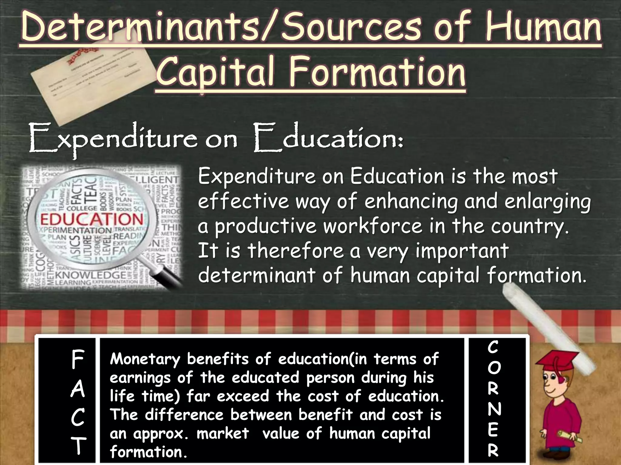 Human capital formation | PPTX