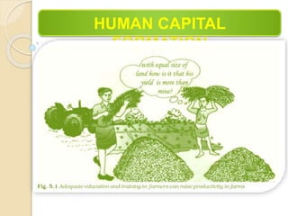 Human capital formation | PPTX