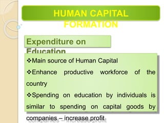 Human capital formation | PPTX