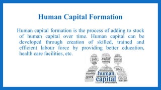 Human_Capital_Formation_An_Indian_Perspective.pptx