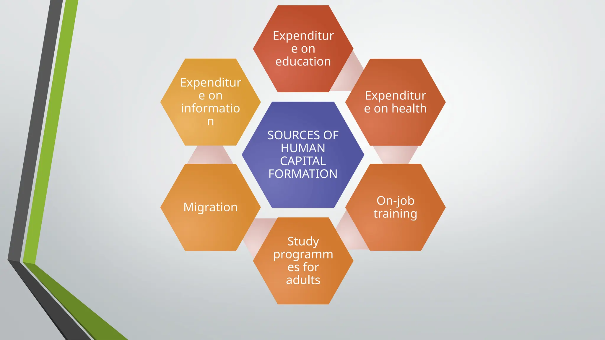 ROLE OF HUMAN CAPITAL FORMATIONIN INDIA.pptx