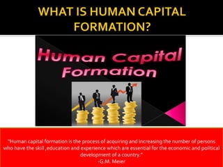 Human capital formation in India part-1 | PDF