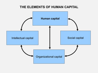 Human capital management | PDF
