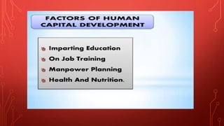 Human capital ppt | PDF