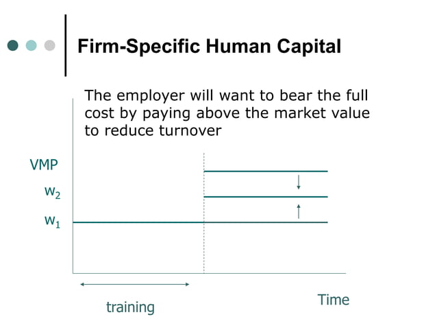 Human Capital : Theory And Application | PPT | Business Accounting ...