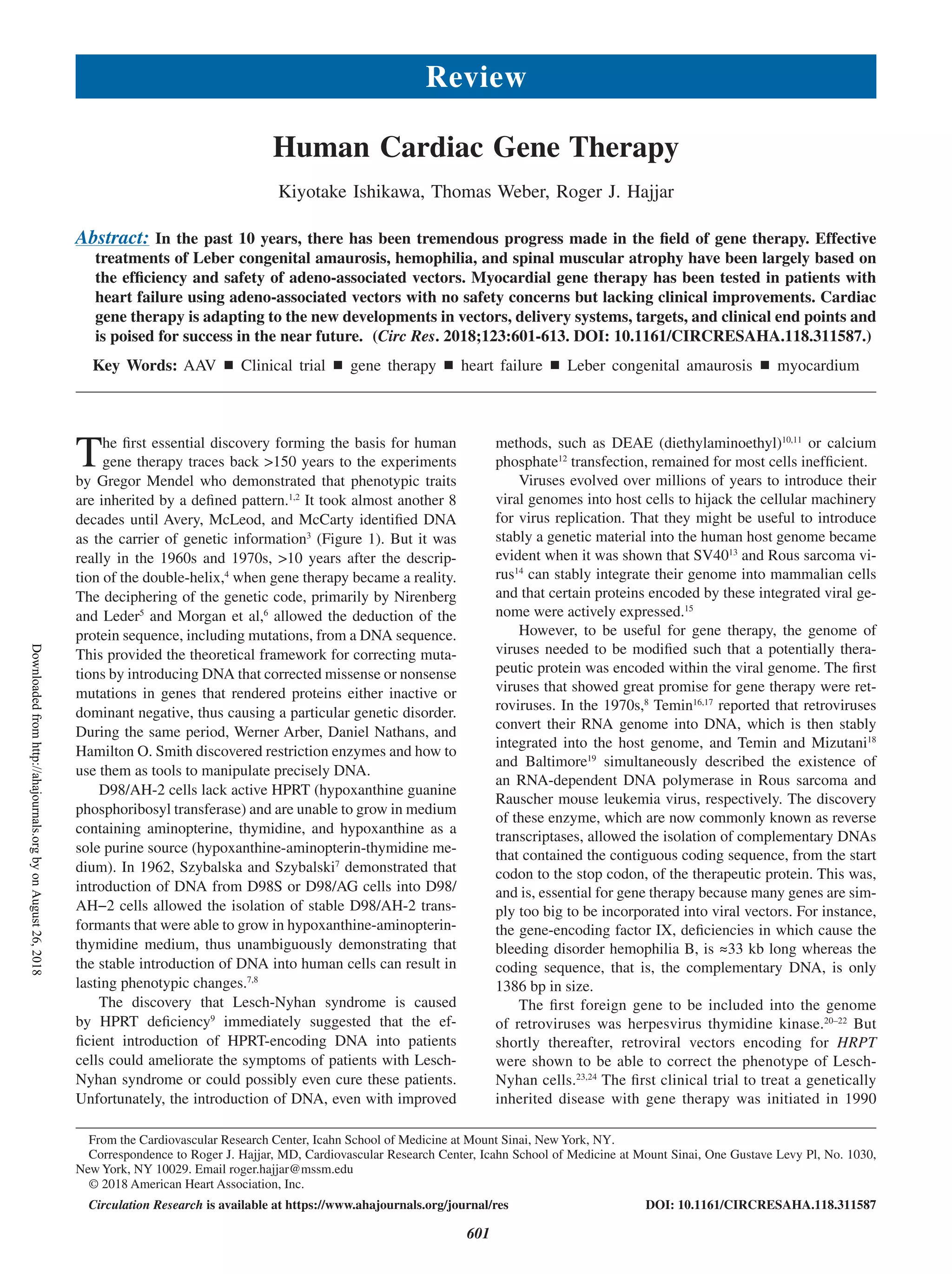 Human cardiac gene therapy | PDF