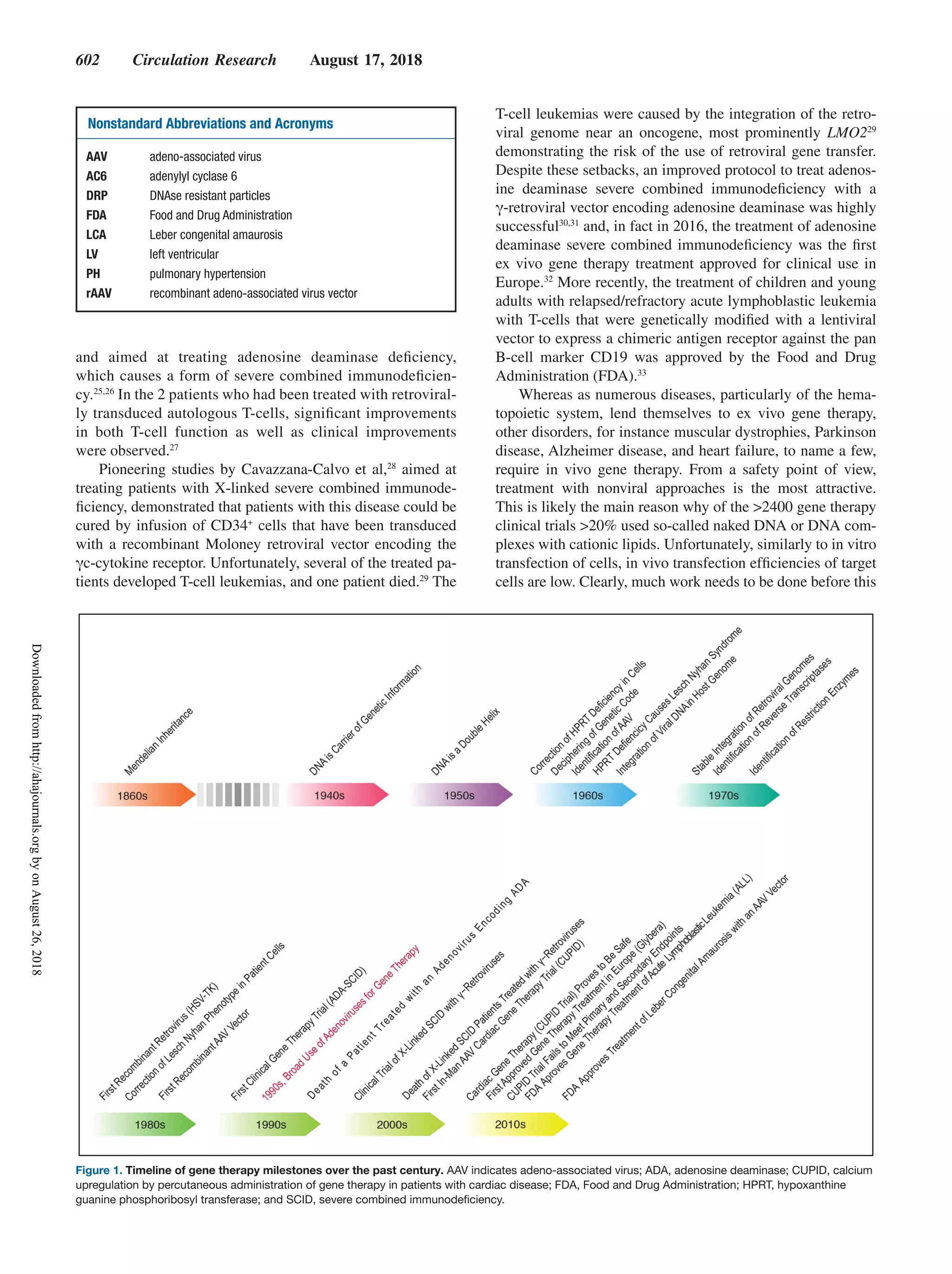 Human cardiac gene therapy | PDF