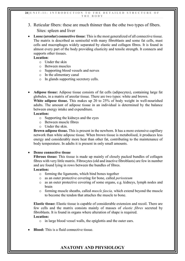 Human cell | PDF | Biological Sciences | Science