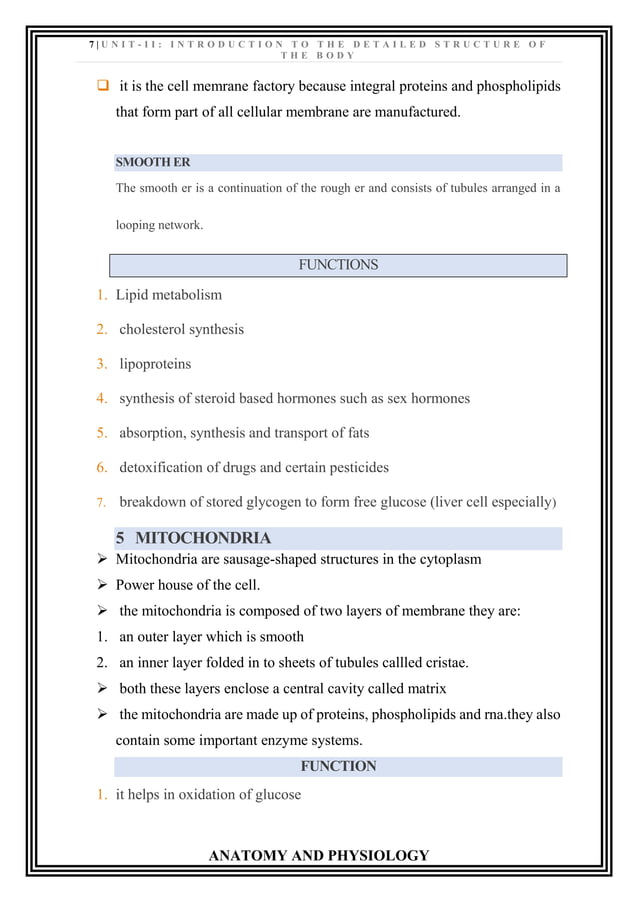 Human cell | PDF | Biological Sciences | Science