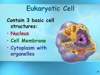 human cell.ppt