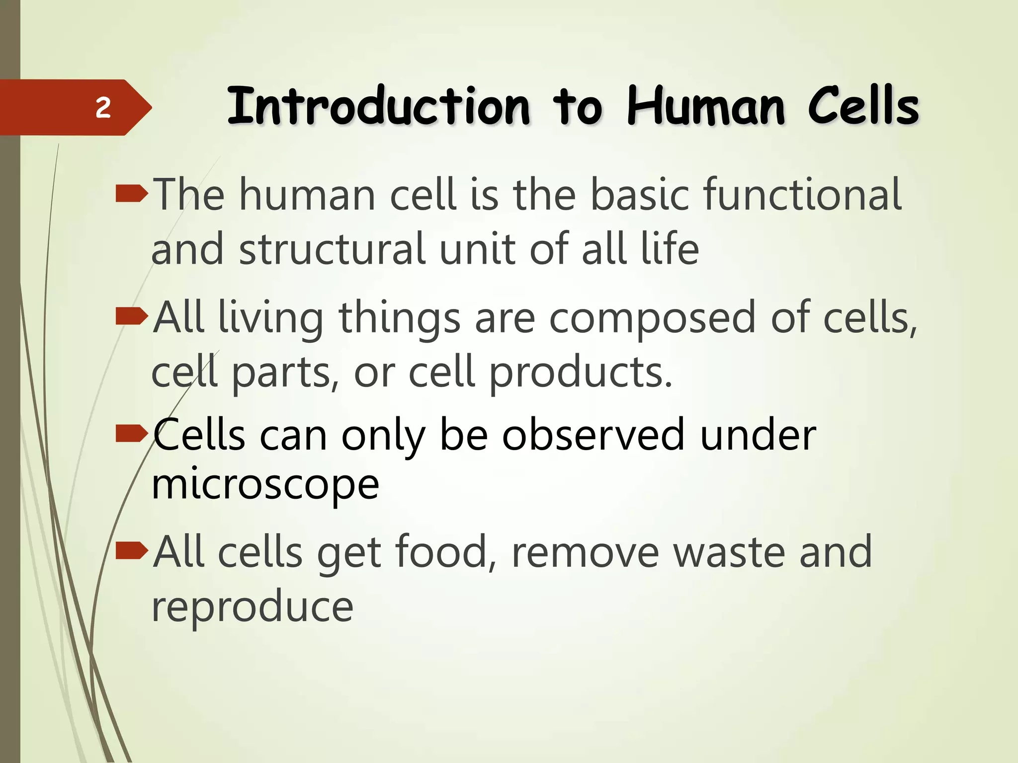 Human cell-structural anatomy ppt | PPT