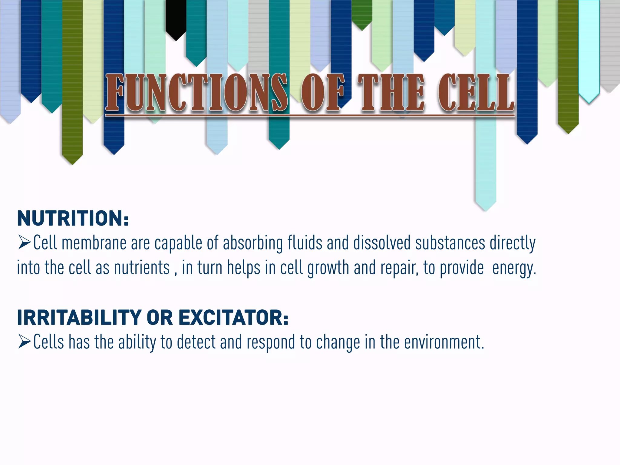 HUMAN CELL ANATOMY | PDF
