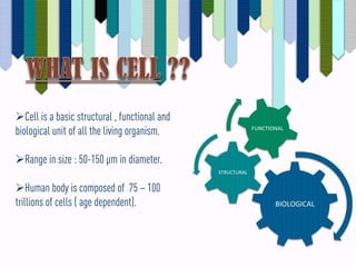 HUMAN CELL ANATOMY | PDF