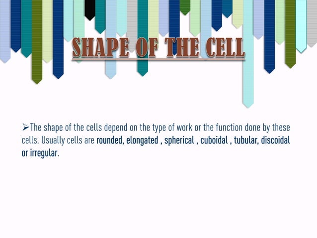 HUMAN CELL ANATOMY | PDF