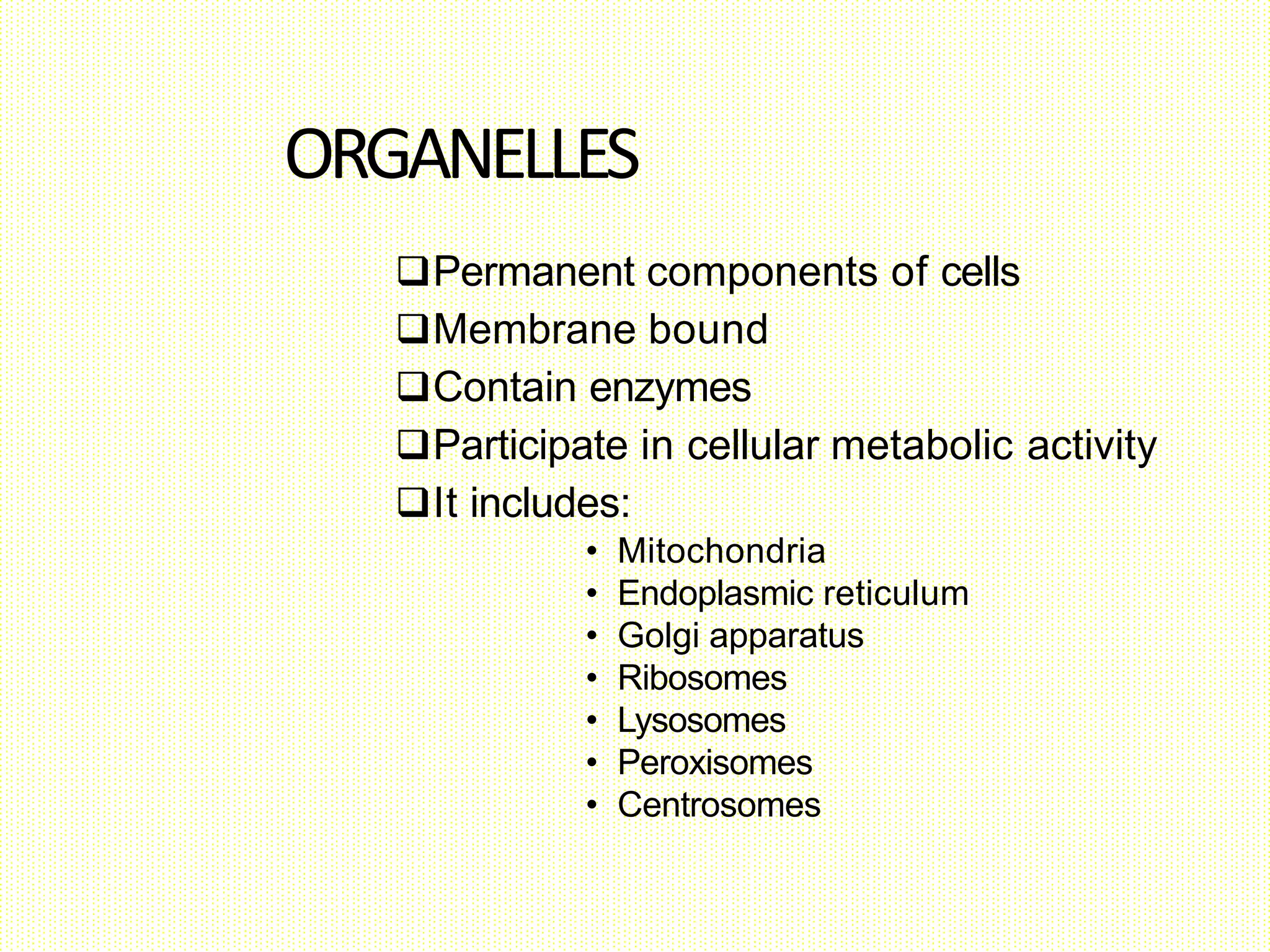 Human cell anatomy | PPTX | Chemistry | Science