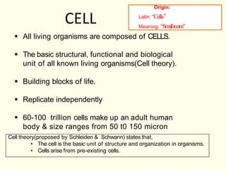 Human cell anatomy | PPTX