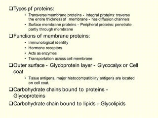 Human cell anatomy | PPTX