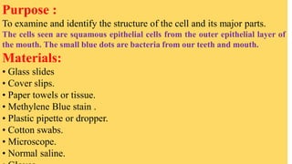 Human cell preparation biology lab for first | PDF