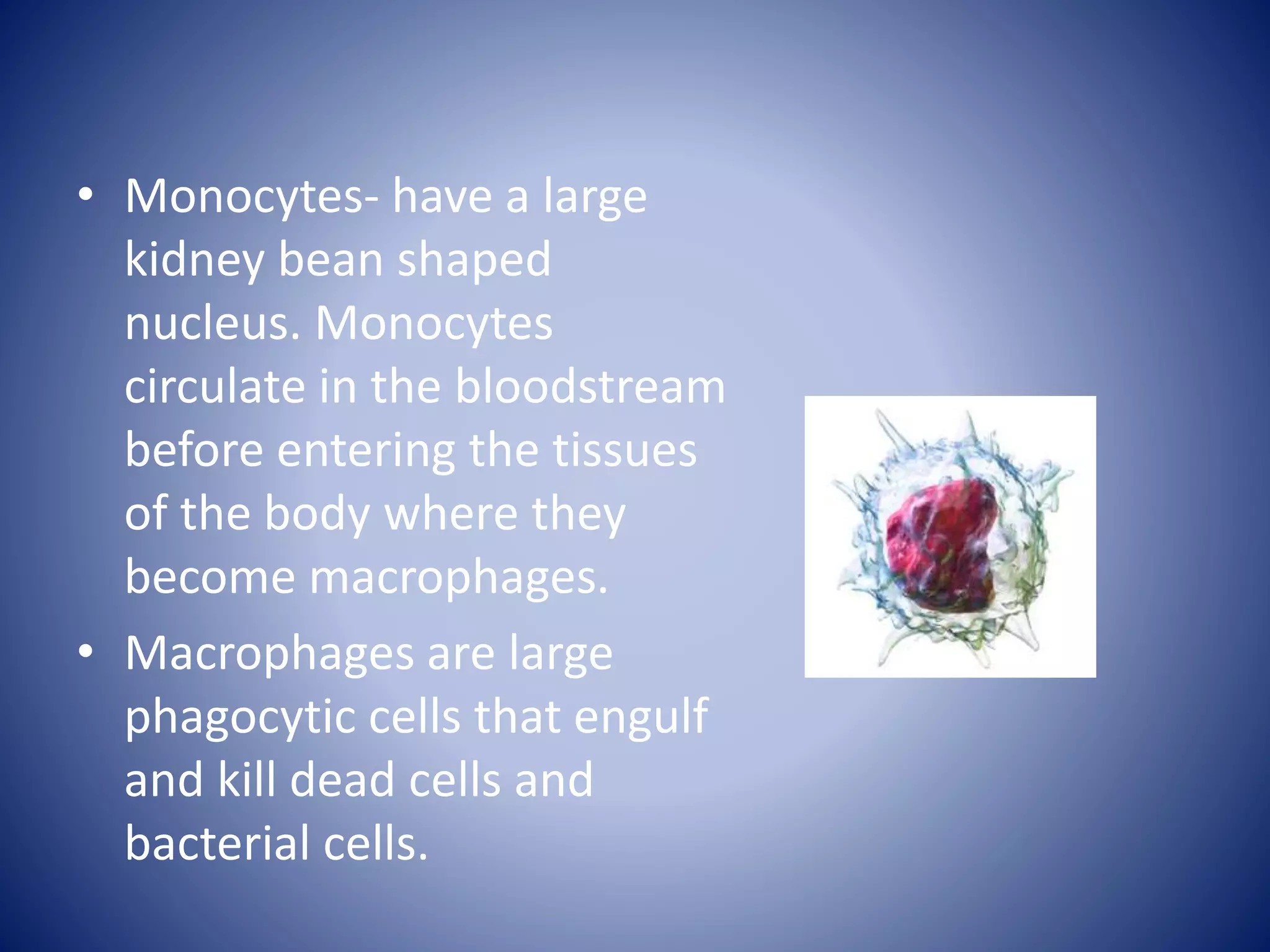 HUMAN CELL TYPES.pptx